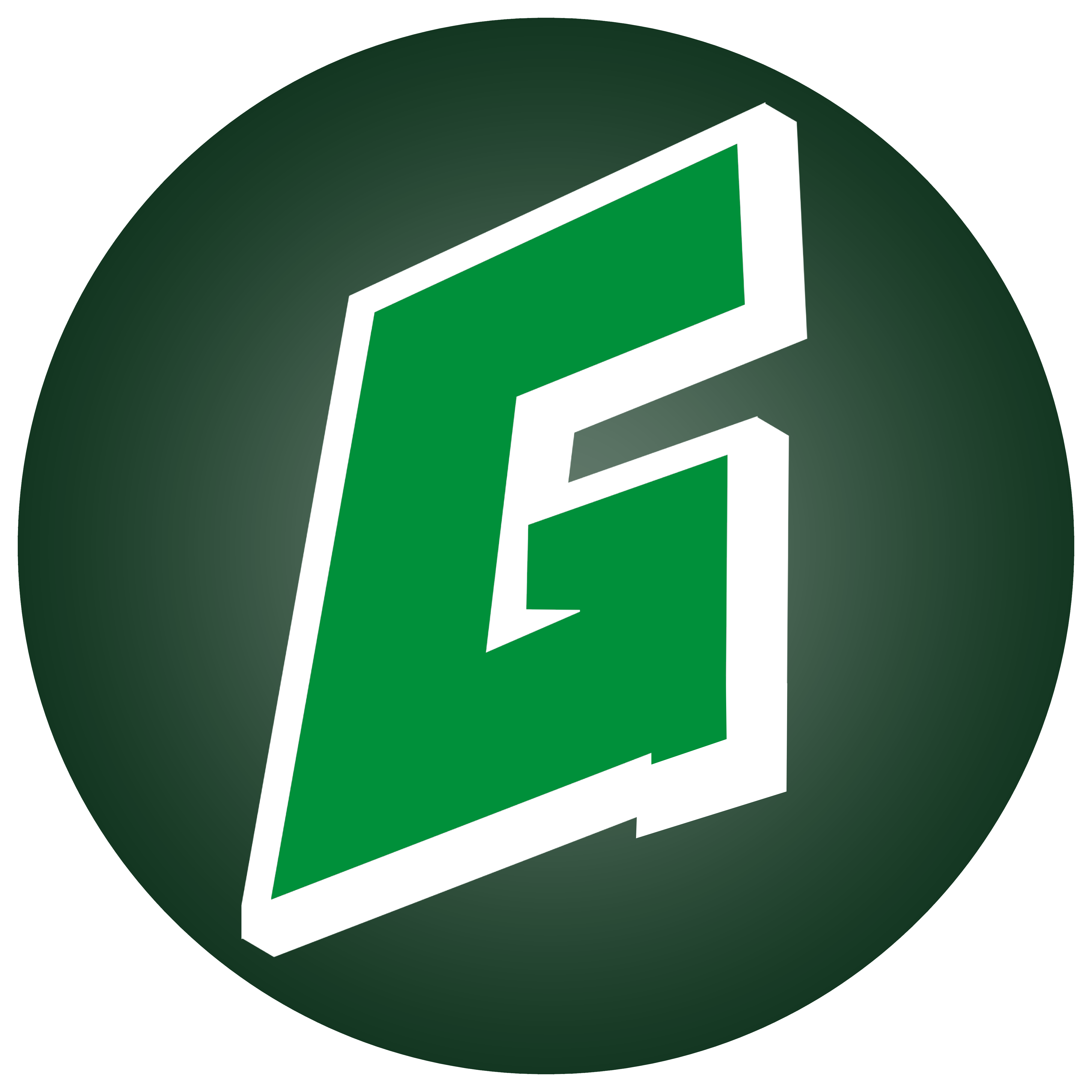 GBOS 2024 New Logo – Guy Boston Sports